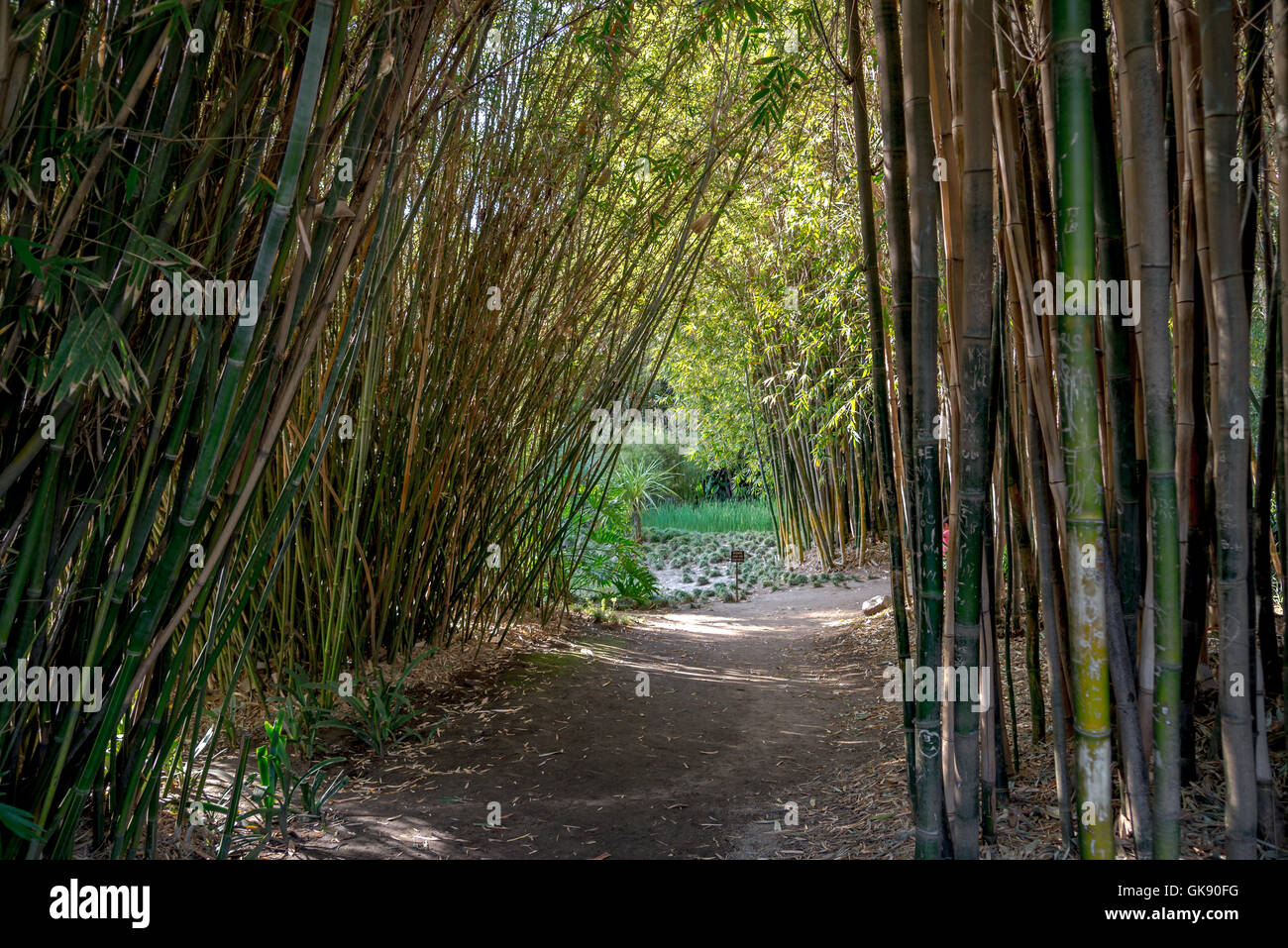 Bamboo walk way hi-res stock photography and images - Alamy