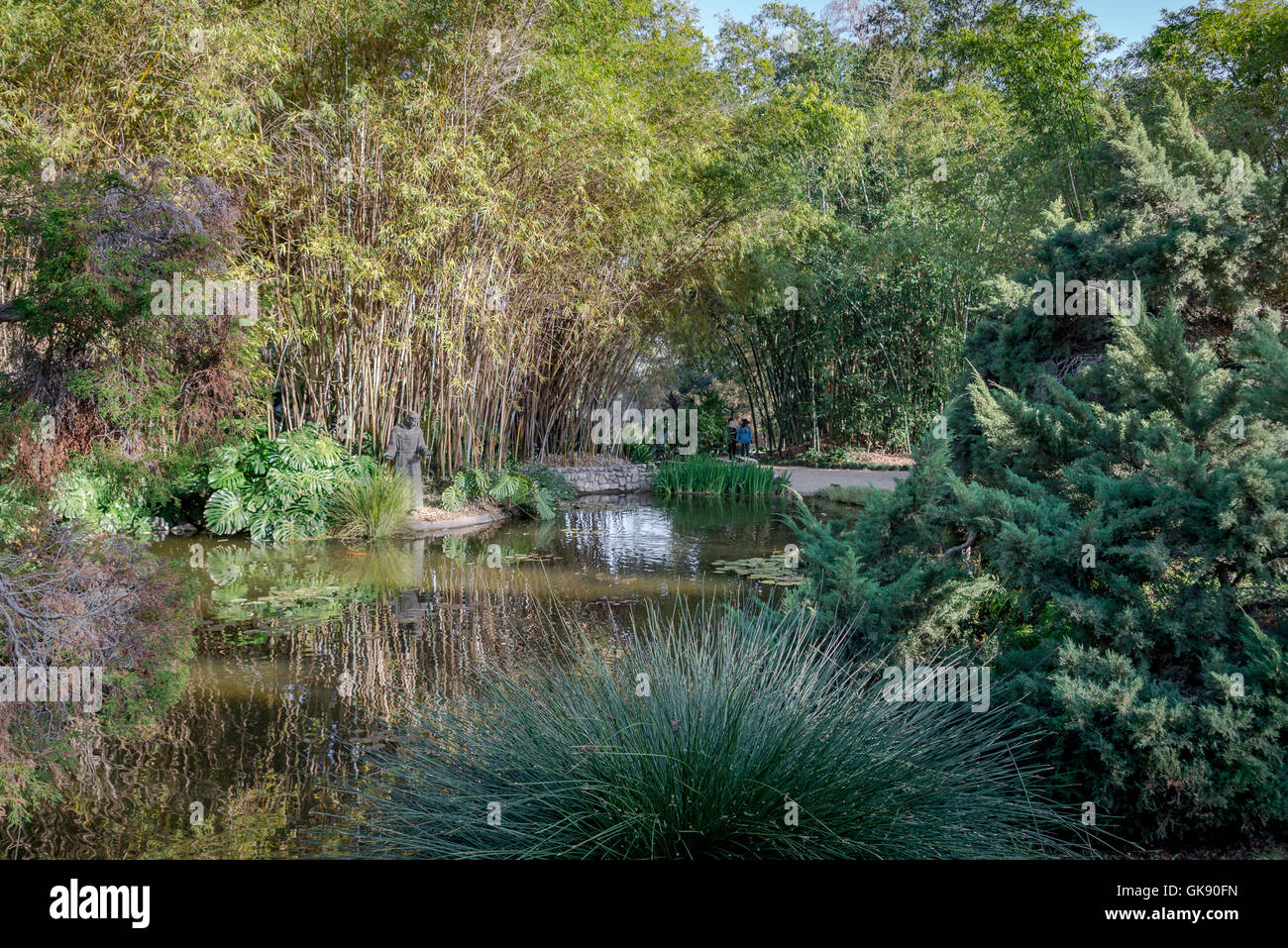 Shrubs pond hi-res stock photography and images - Alamy