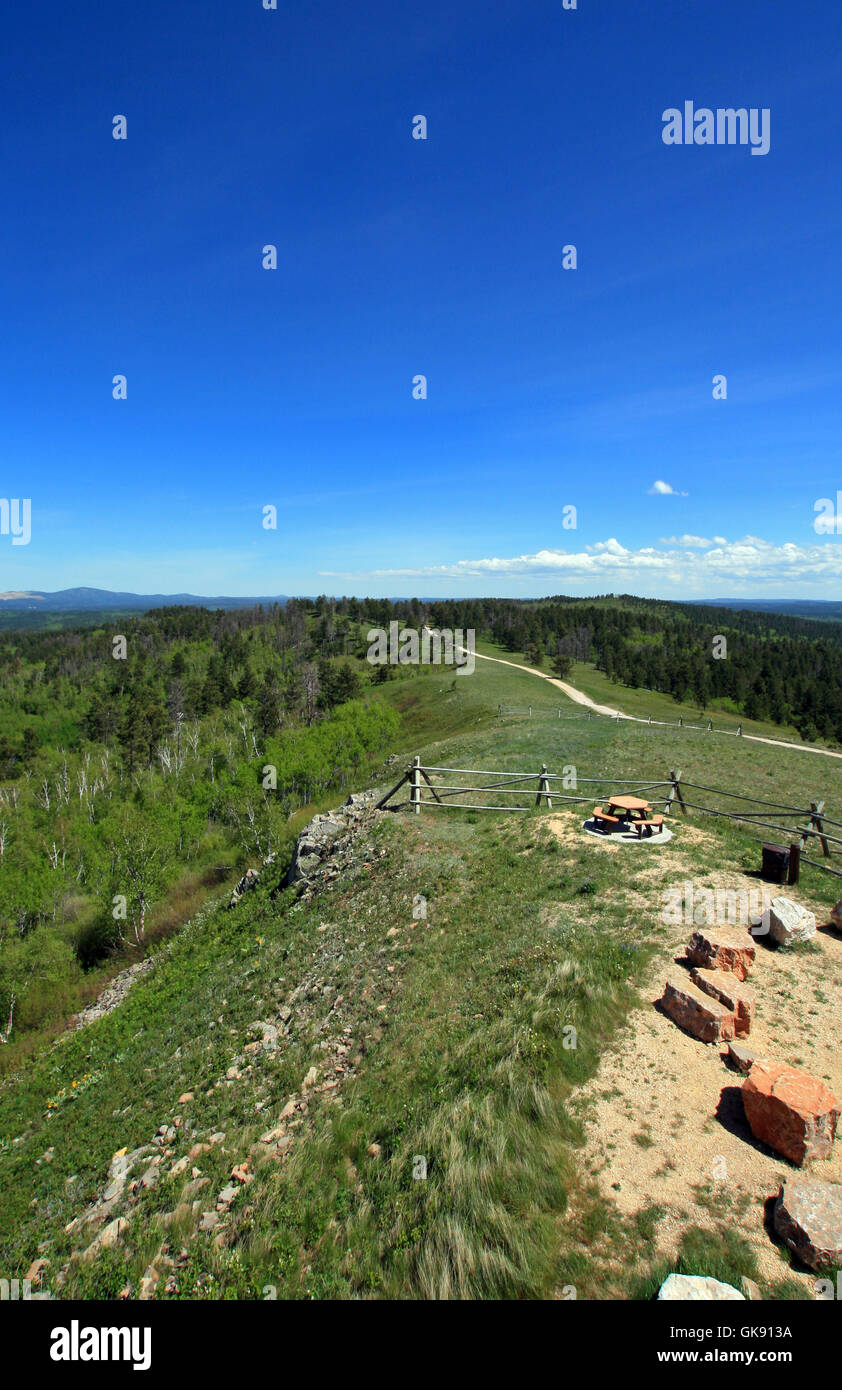 Black beetle rail hi-res stock photography and images - Alamy