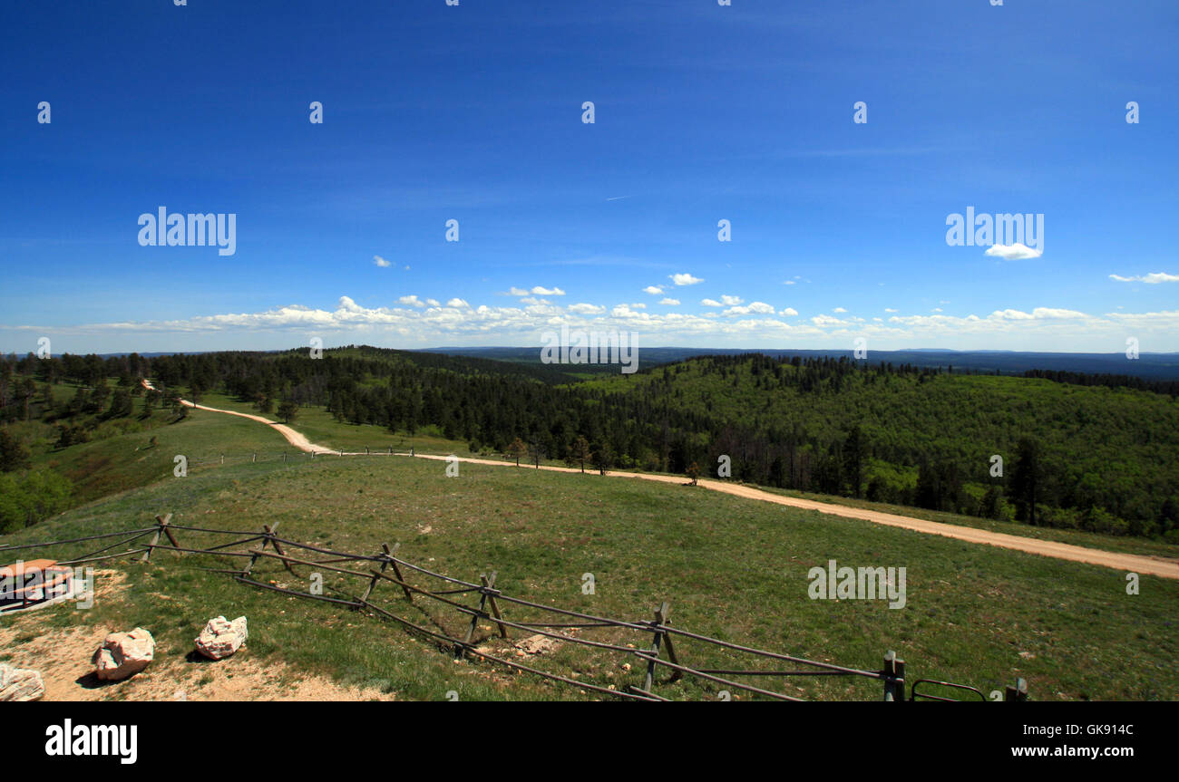 Black beetle rail hi-res stock photography and images - Alamy