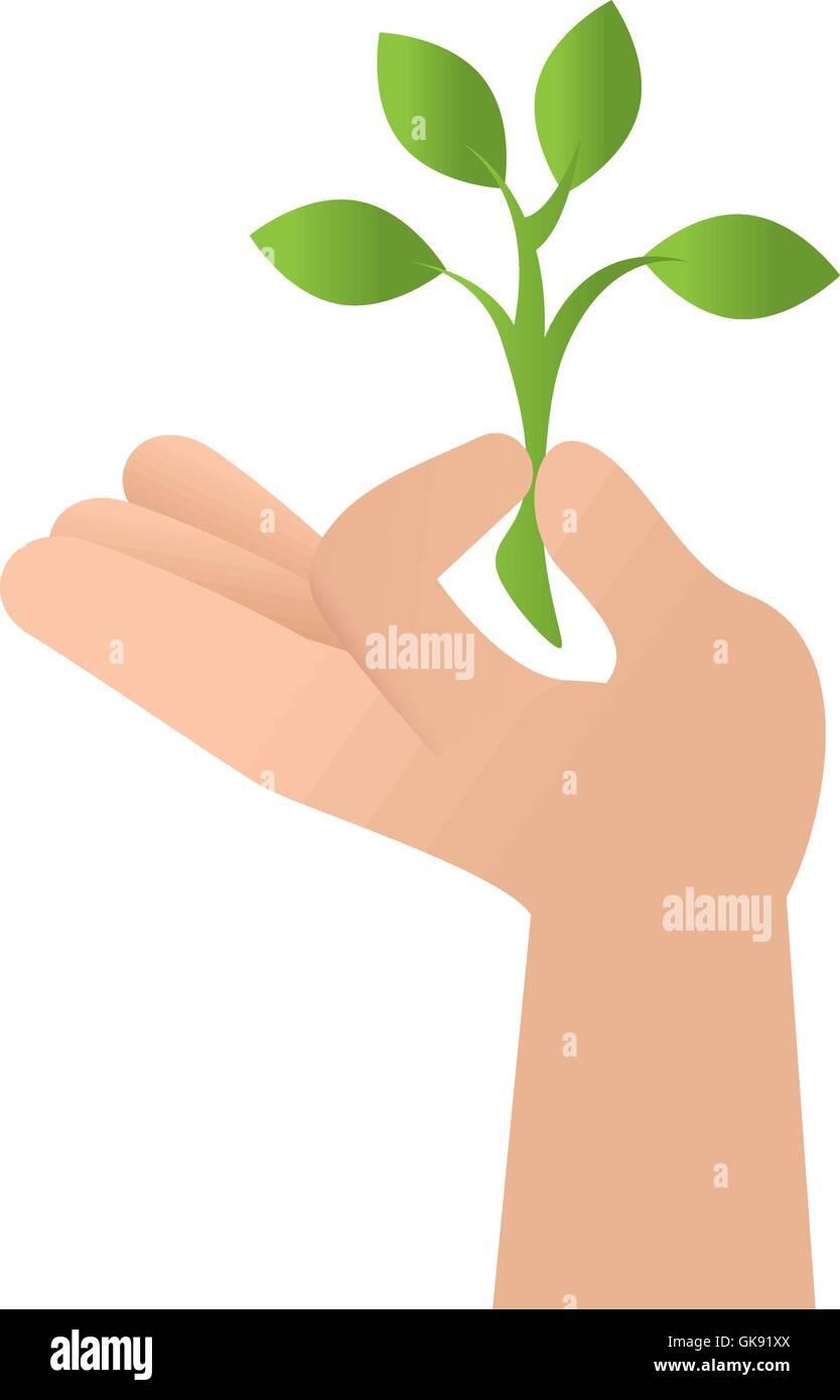 hand plant leaves Stock Vector Image & Art - Alamy
