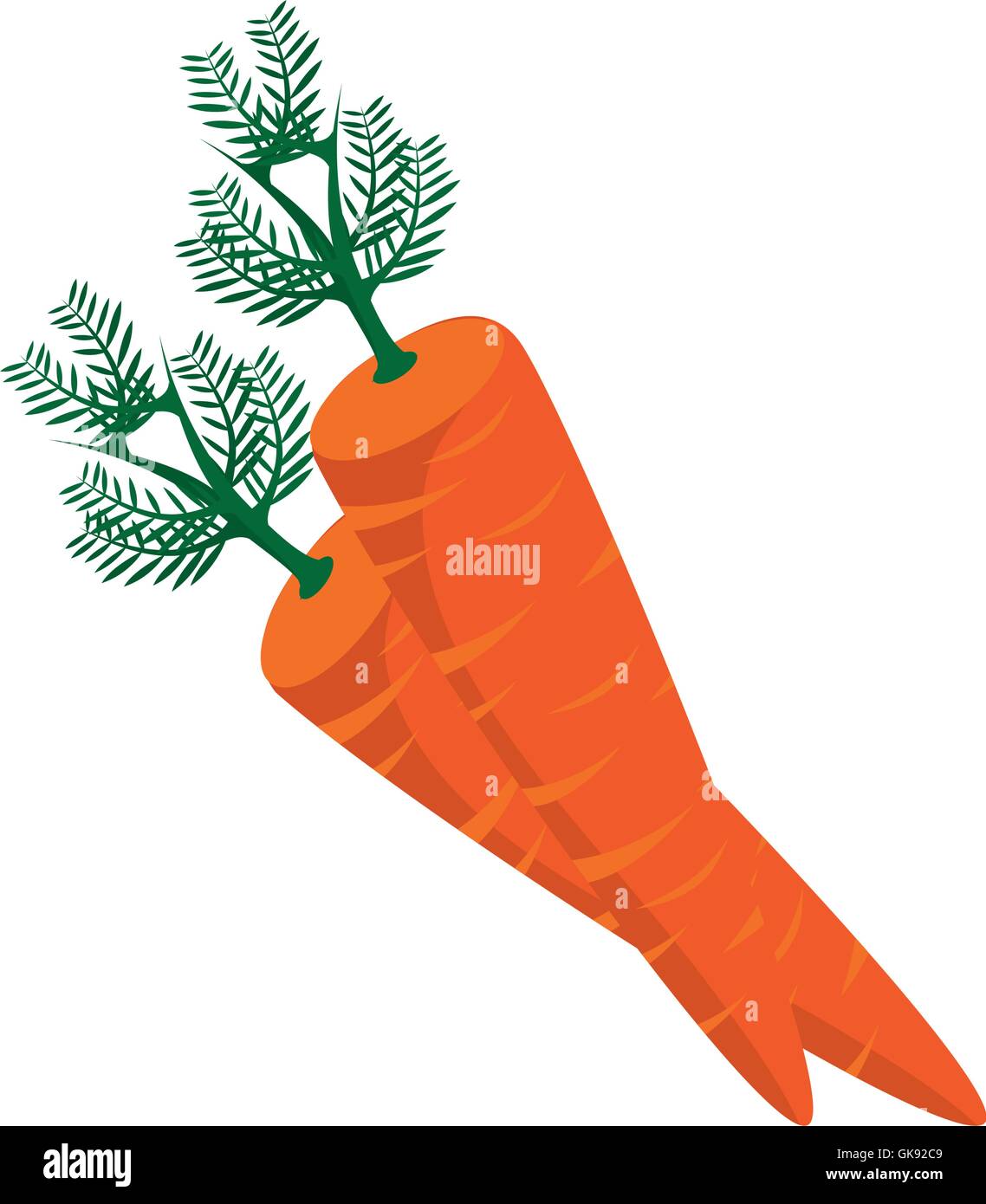 carrot vegetable food Stock Vector Image & Art - Alamy