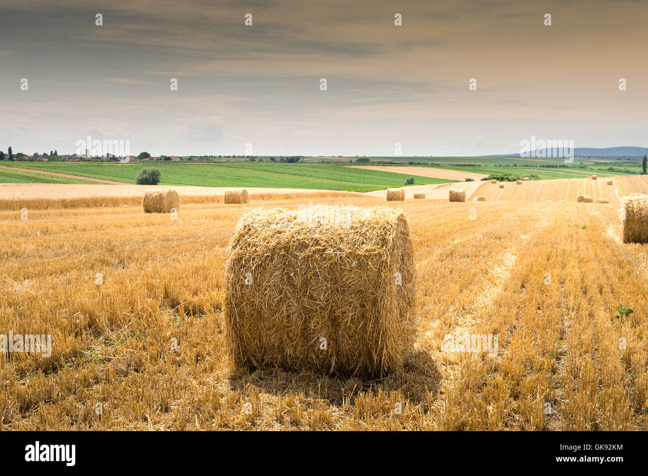 Straw cylinder hi-res stock photography and images - Alamy