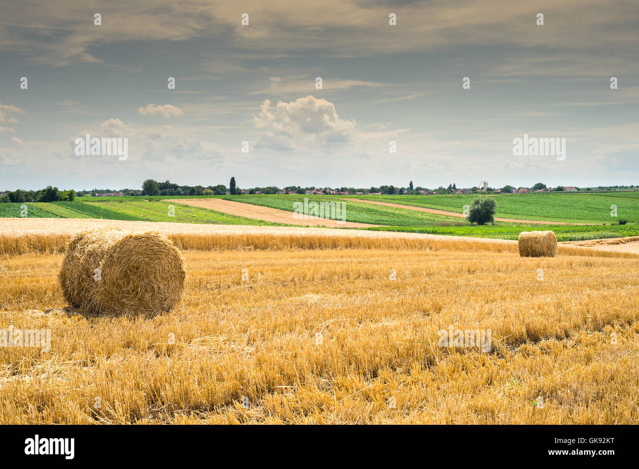 Straw cylinder hi-res stock photography and images - Alamy