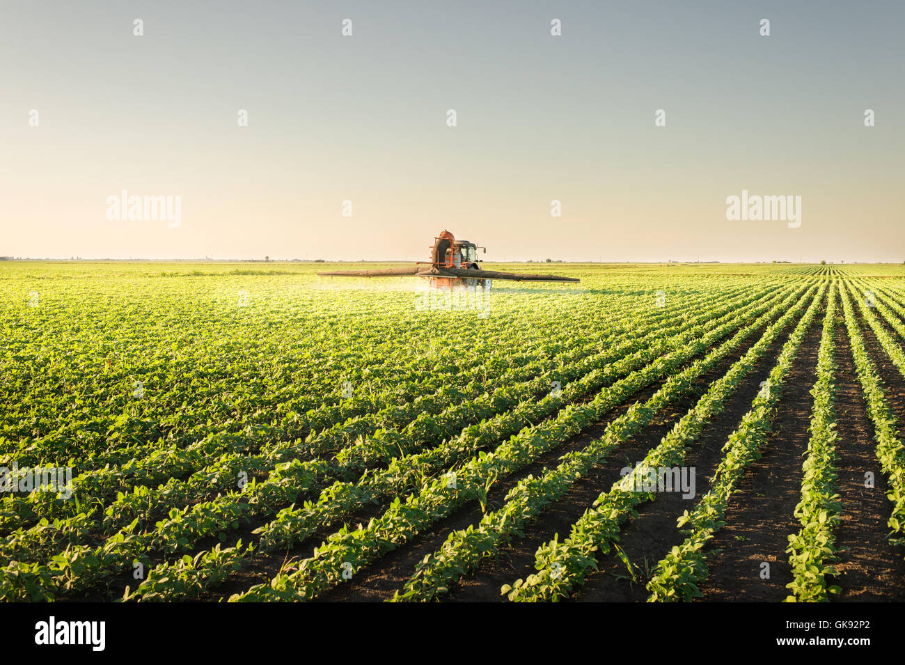 Tractor spraying pesticides on soybean Stock Photo - Alamy