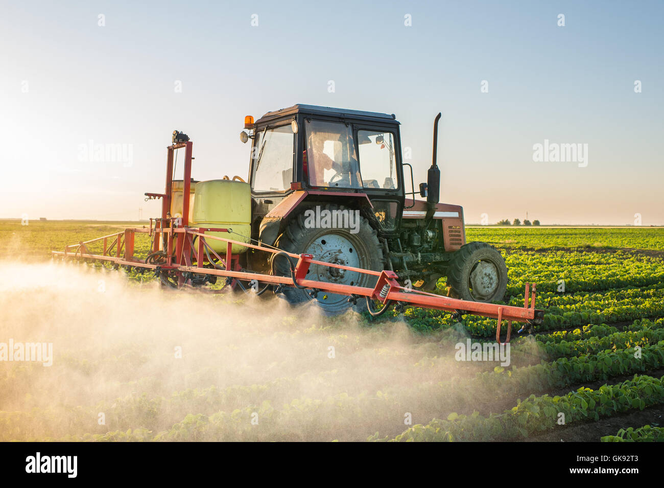 Tractor spraying soybean field at spring Stock Photo - Alamy