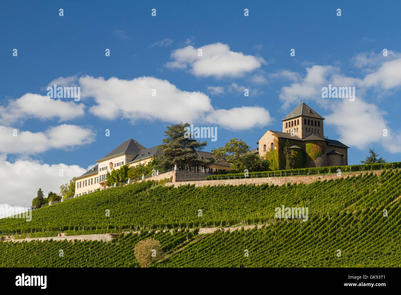 Rheingau vineyards hi-res stock photography and images - Alamy