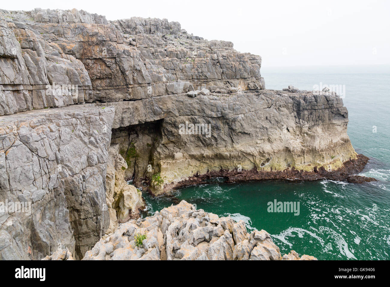 The vertical limestone cliffs and ledges near St Govans Chapel in the ...