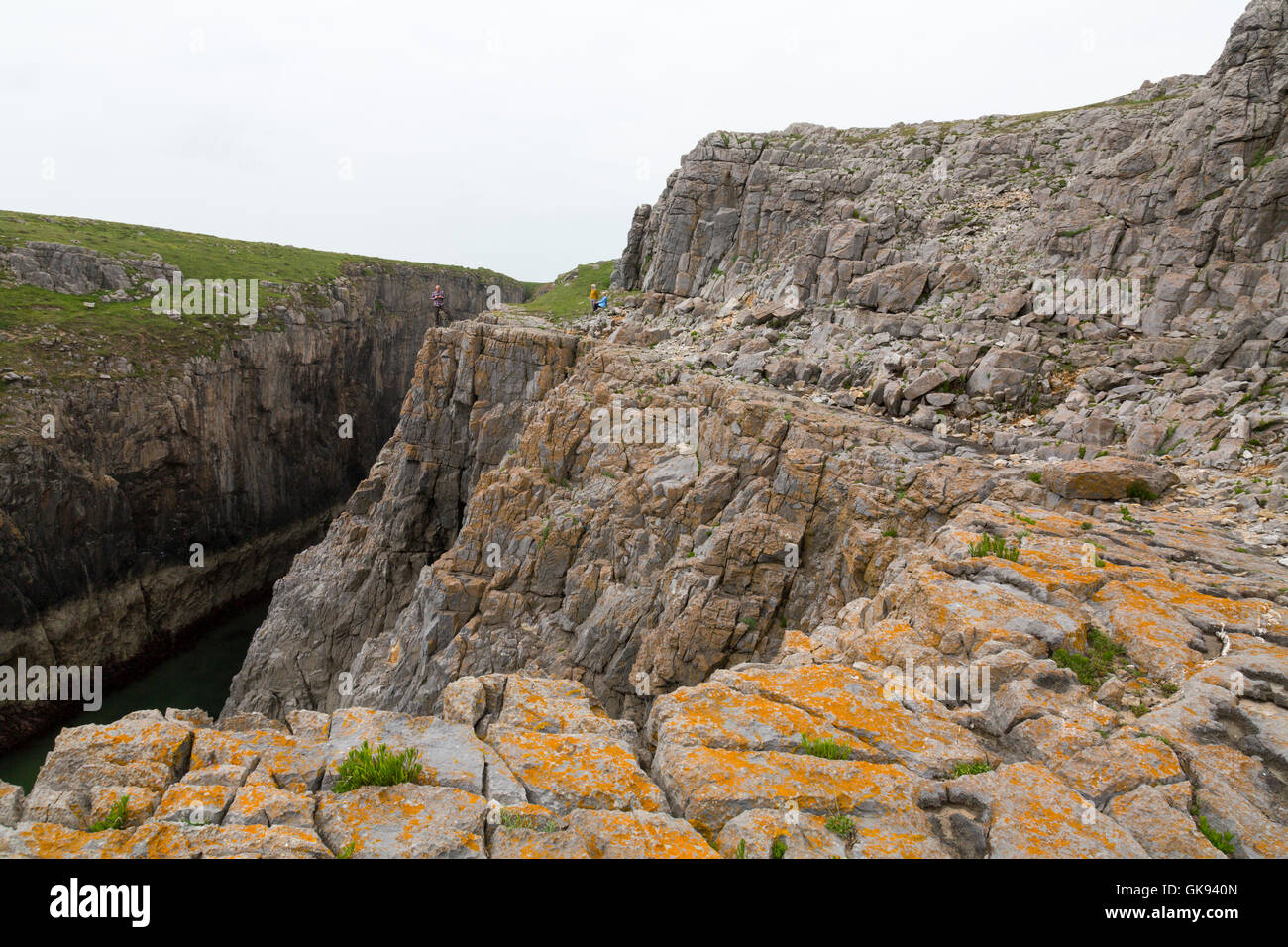 The vertical limestone cliffs and ledges near St Govans Chapel in the ...