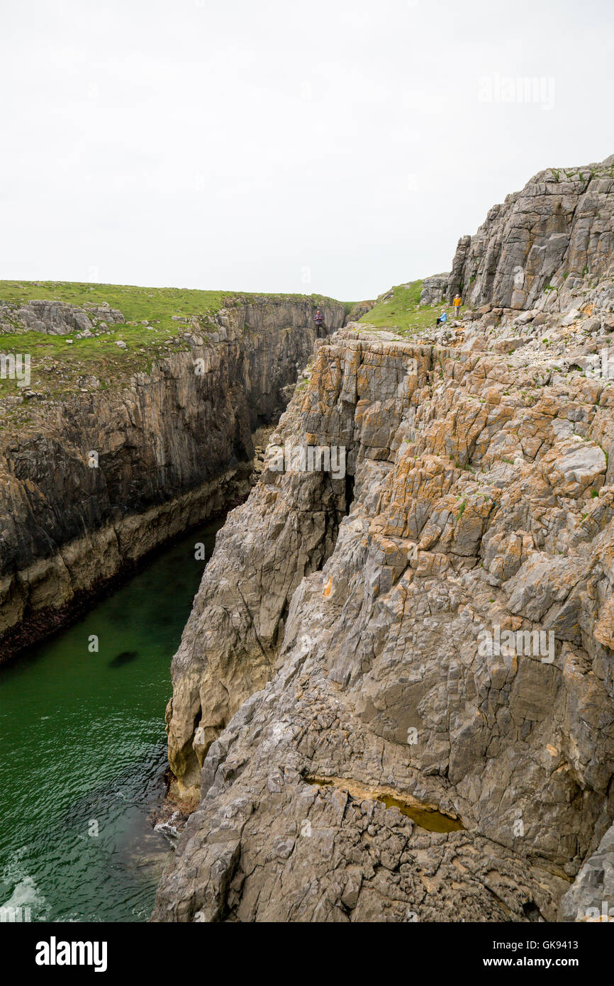 The vertical limestone cliffs, ledges and gully near St Govans Chapel ...
