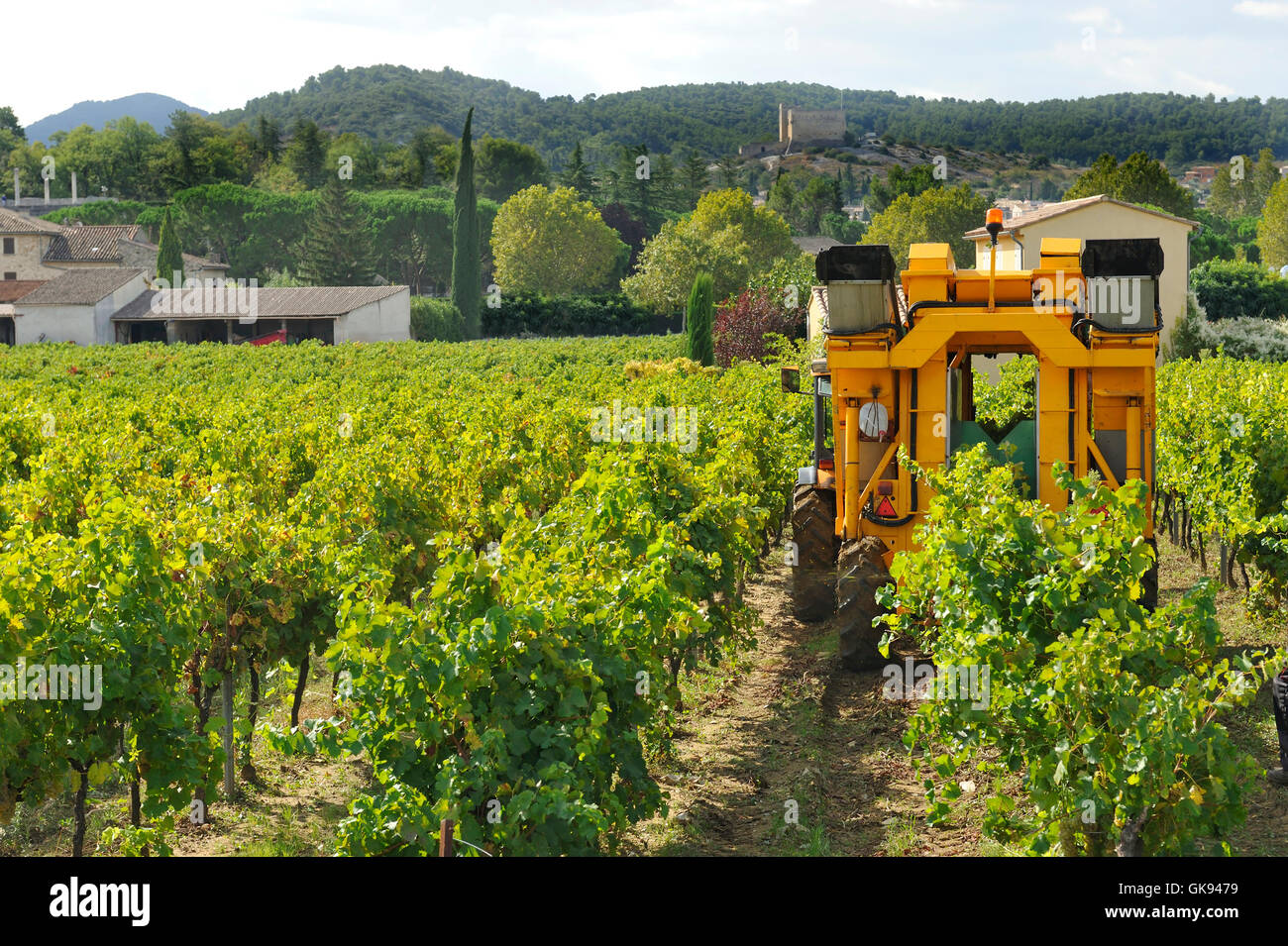 Mechanical grape harvester hi-res stock photography and images - Alamy