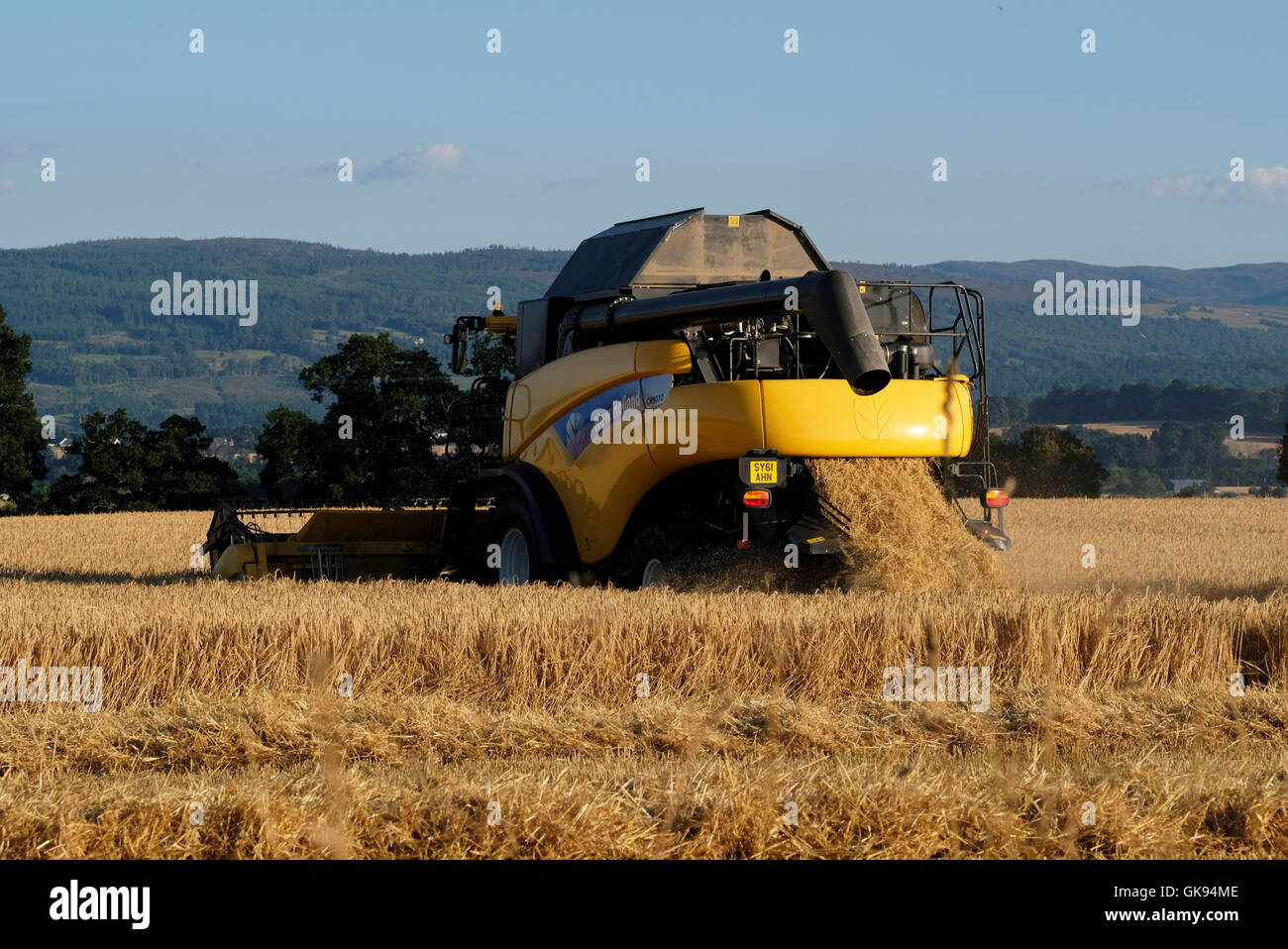 Cutting hay in a field Stock Photo - Alamy