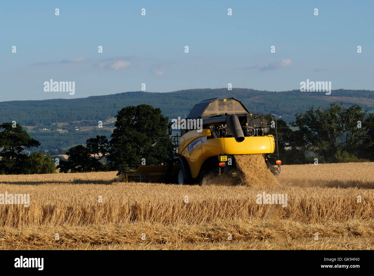 Cutting hay in a field Stock Photo - Alamy