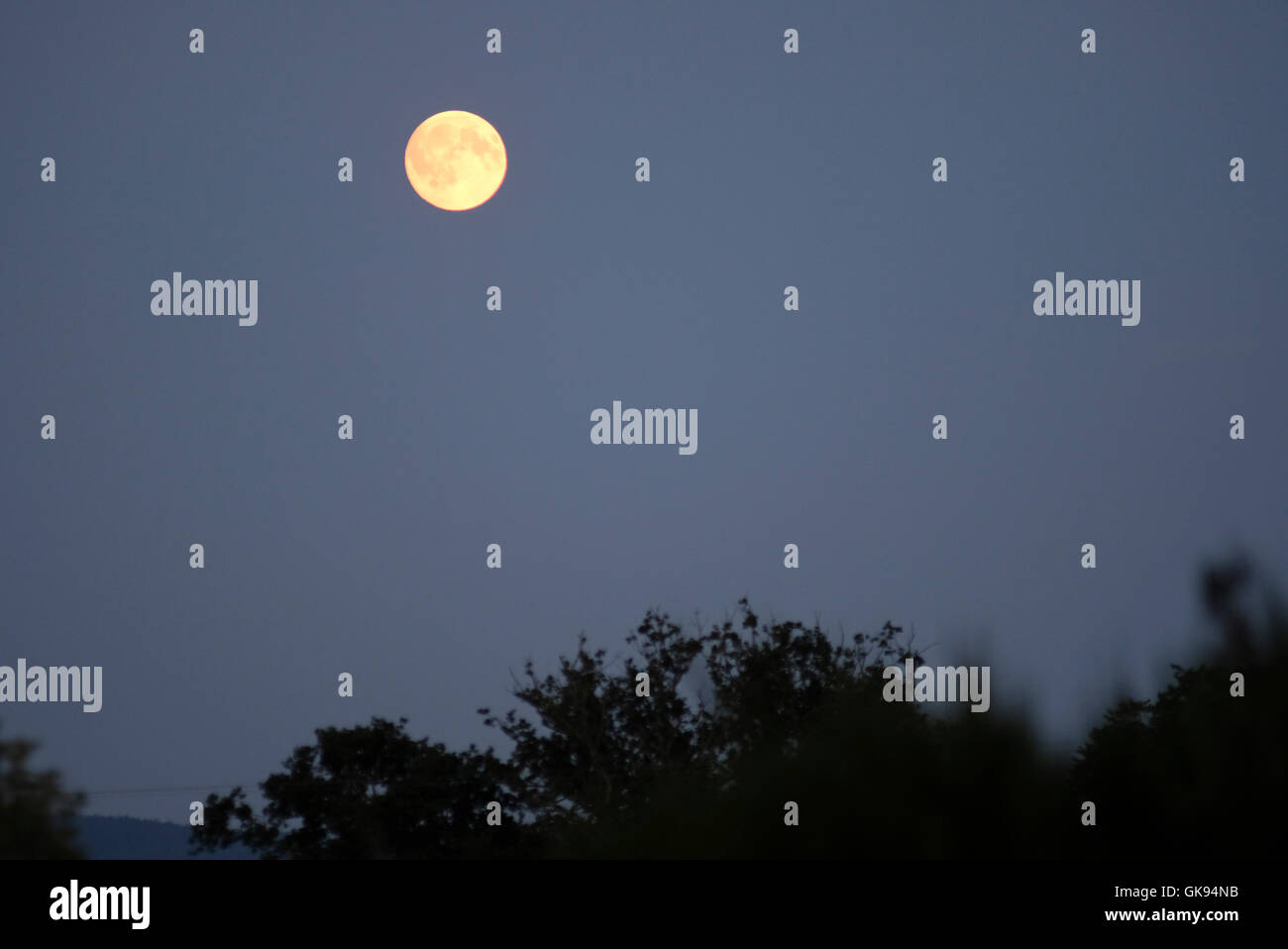 Views of the sky and full moon over Muir of Ord and Beauty in the ...