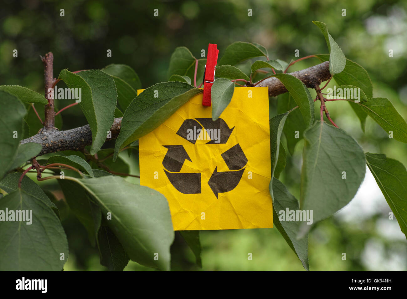 Recycle symbol hanging on a tree. Close up. Concept image Stock Photo ...