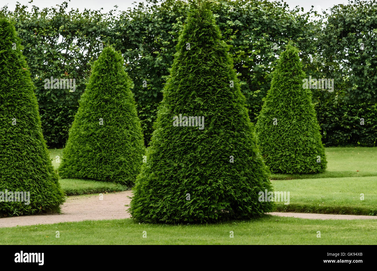 gardening and beautiful smooth trimmed trees in the Park Stock Photo ...