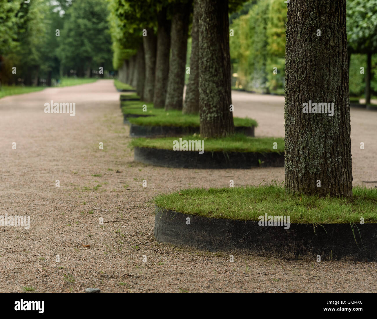 gardening and beautiful smooth trimmed trees in the Park Stock Photo ...