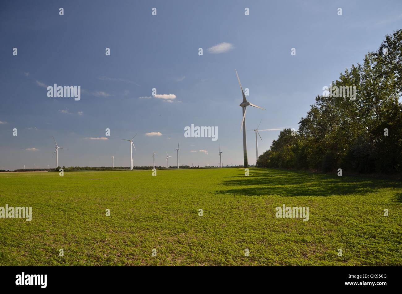 Wind farm in a green field Stock Photo - Alamy