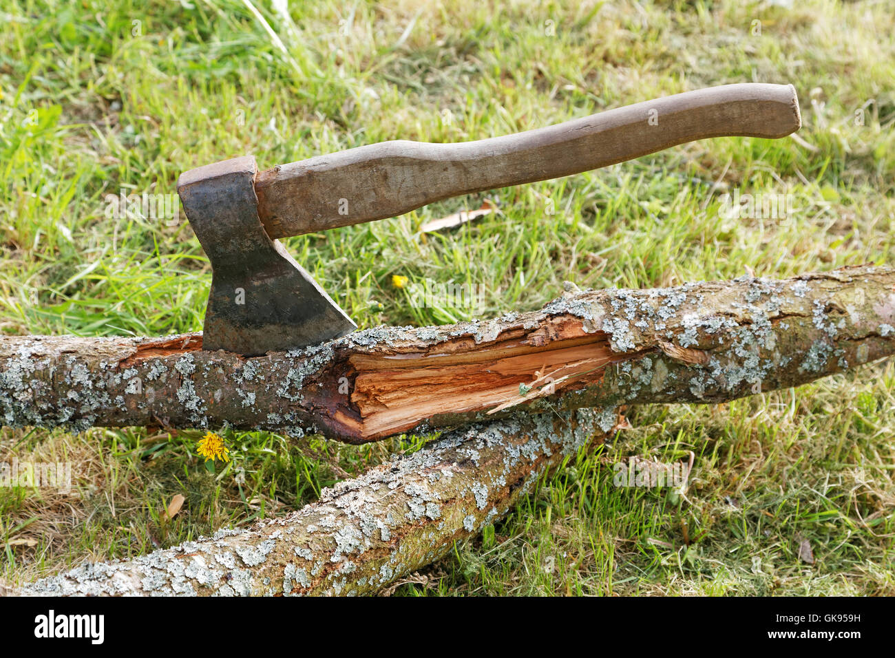 ax and branches of old trees on the grass Stock Photo - Alamy