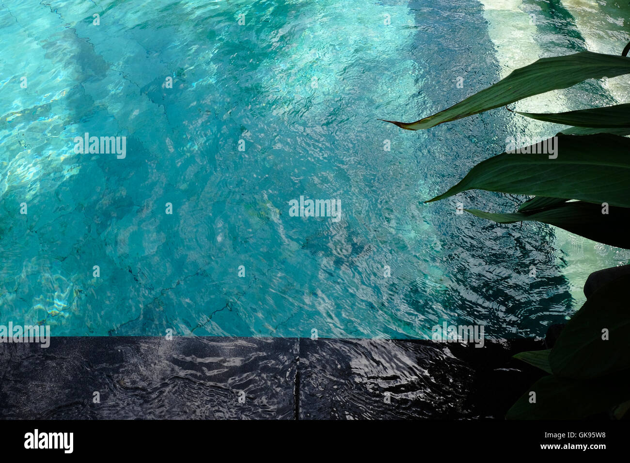 Pool and leaves Stock Photo - Alamy