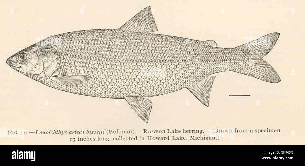 Bollman map hi-res stock photography and images - Alamy