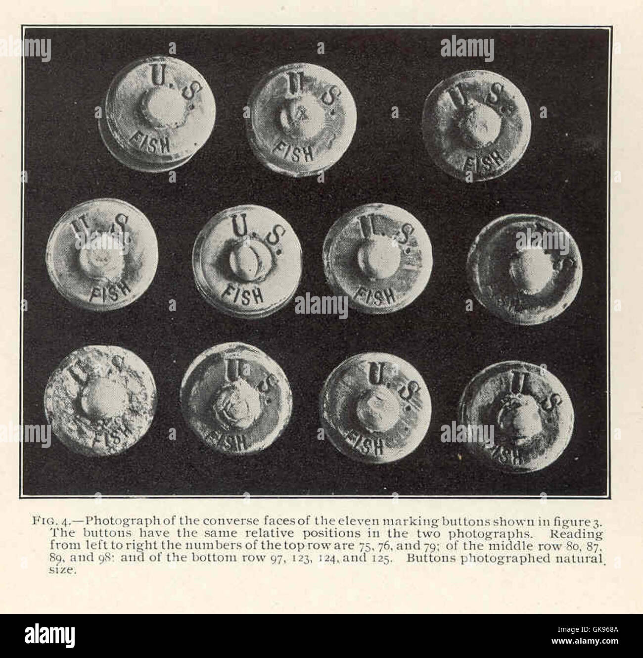 This image captures the reverse sides of eleven marking buttons ...