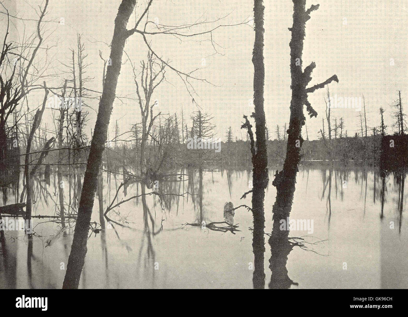 Beaver dam map hi-res stock photography and images - Alamy