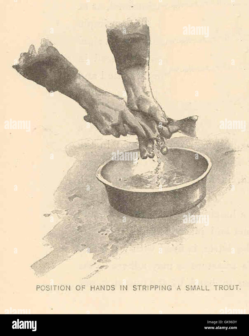 A guide on the proper technique and hand positioning for stripping a ...