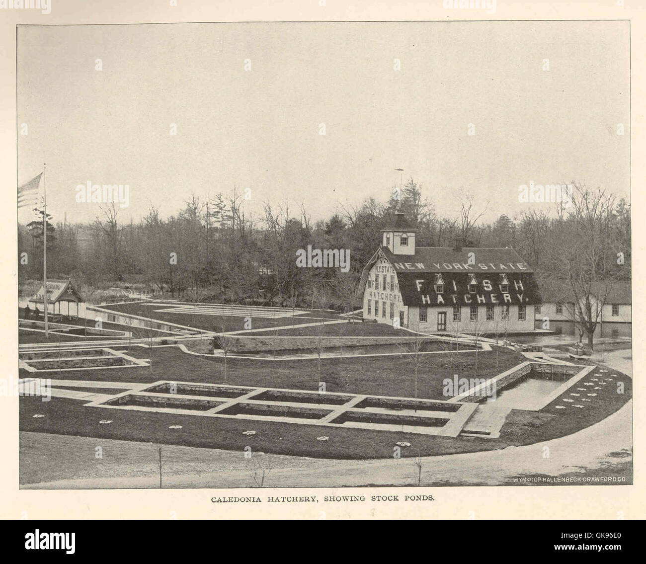 An image of the Caledonia Hatchery, focusing on the stock ponds used ...