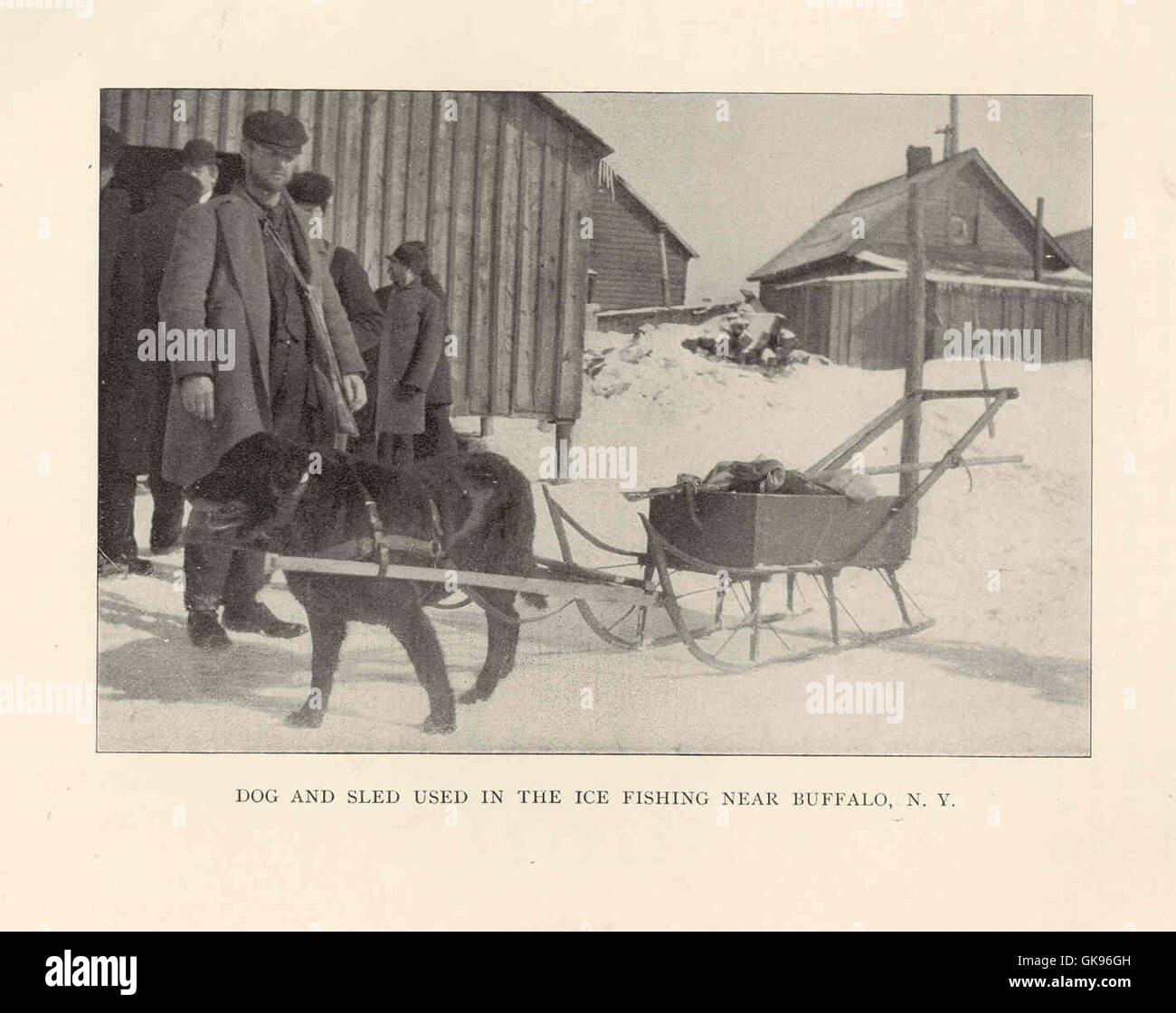 Buffalo sled hi-res stock photography and images - Alamy