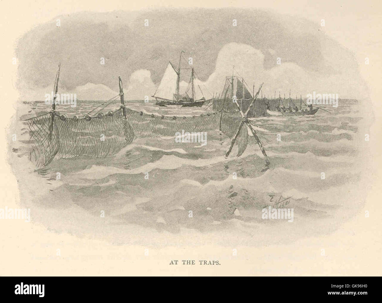 A record of trapping activities, detailing the methods, species ...