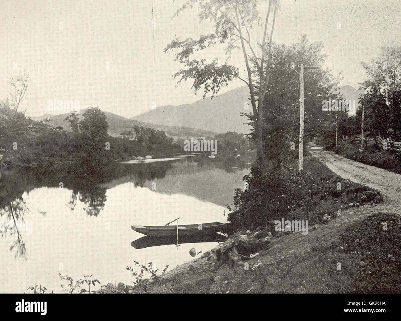 A study on an Adirondack stream, focusing on the water ecosystem ...