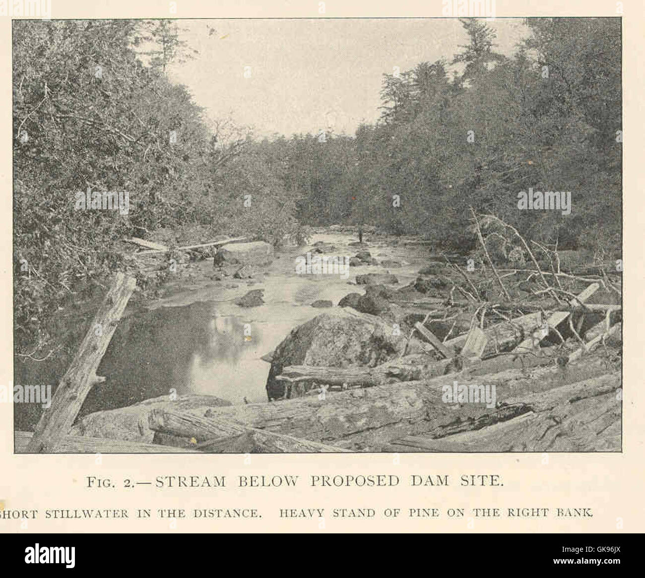 43211 Stream BElow Proposed Dam Site Short stillwater in the distance ...