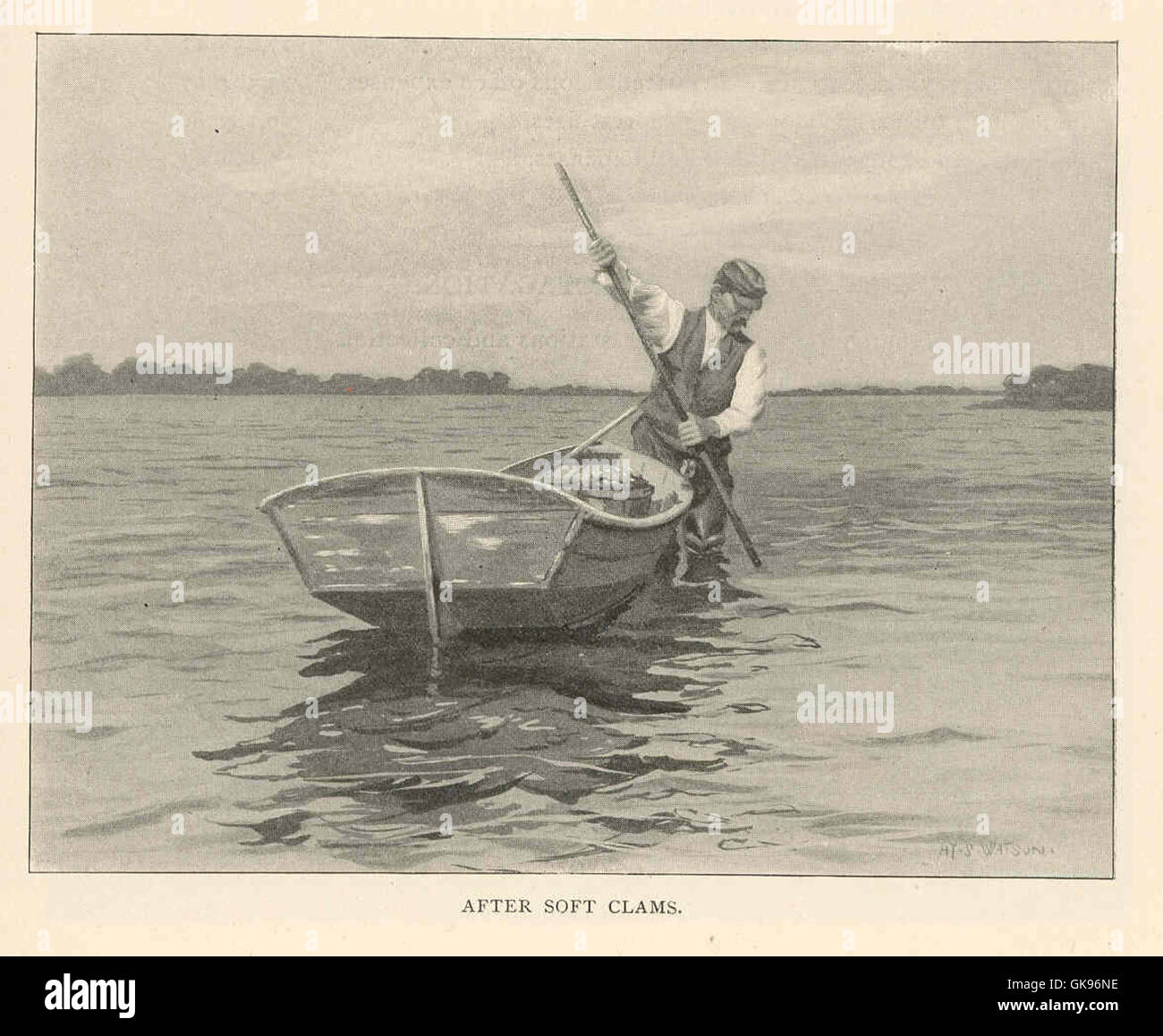 A study or record concerning the soft clams, possibly focusing on post ...