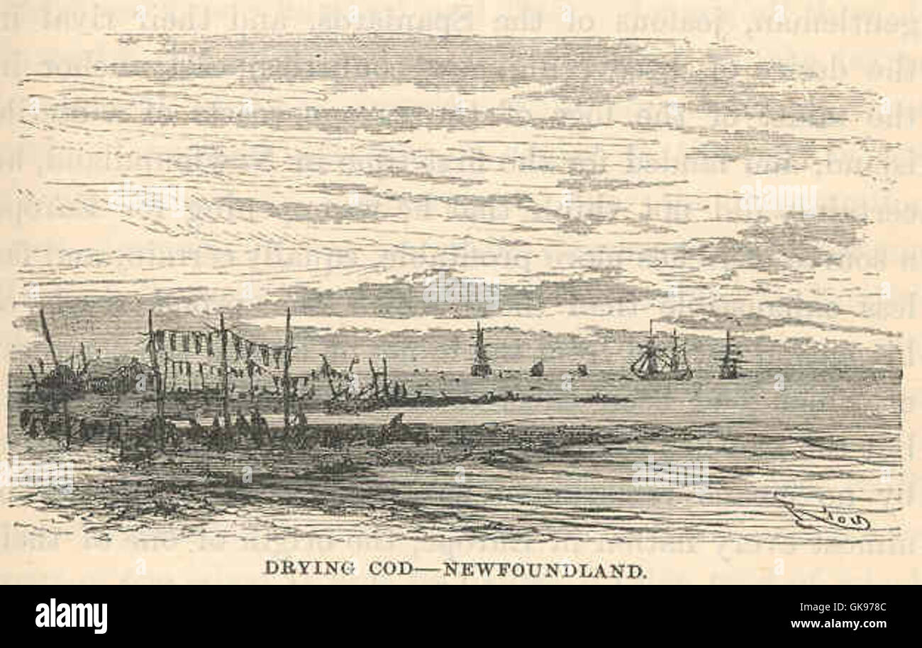 This document details the traditional methods used in Newfoundland for ...