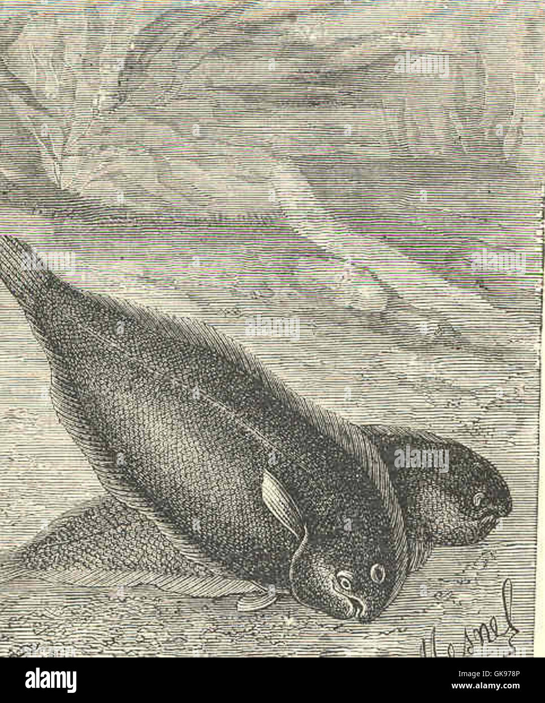 Economic information unit hi-res stock photography and images - Alamy