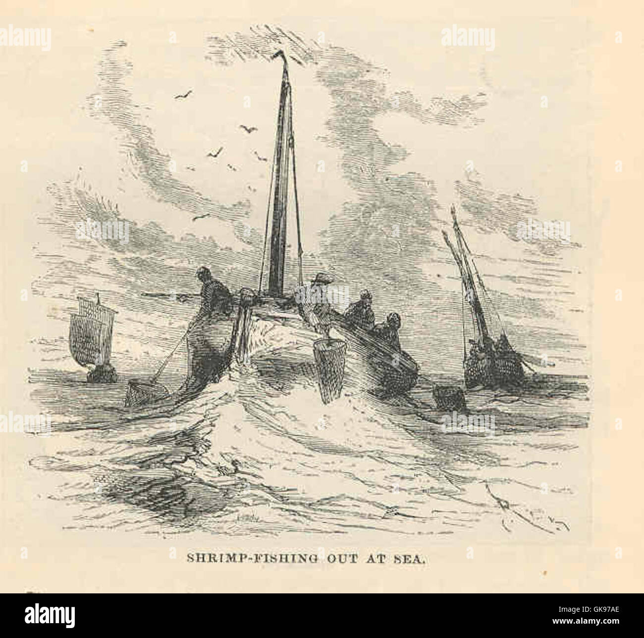 This work describes the practice of shrimp fishing in the open sea. It ...