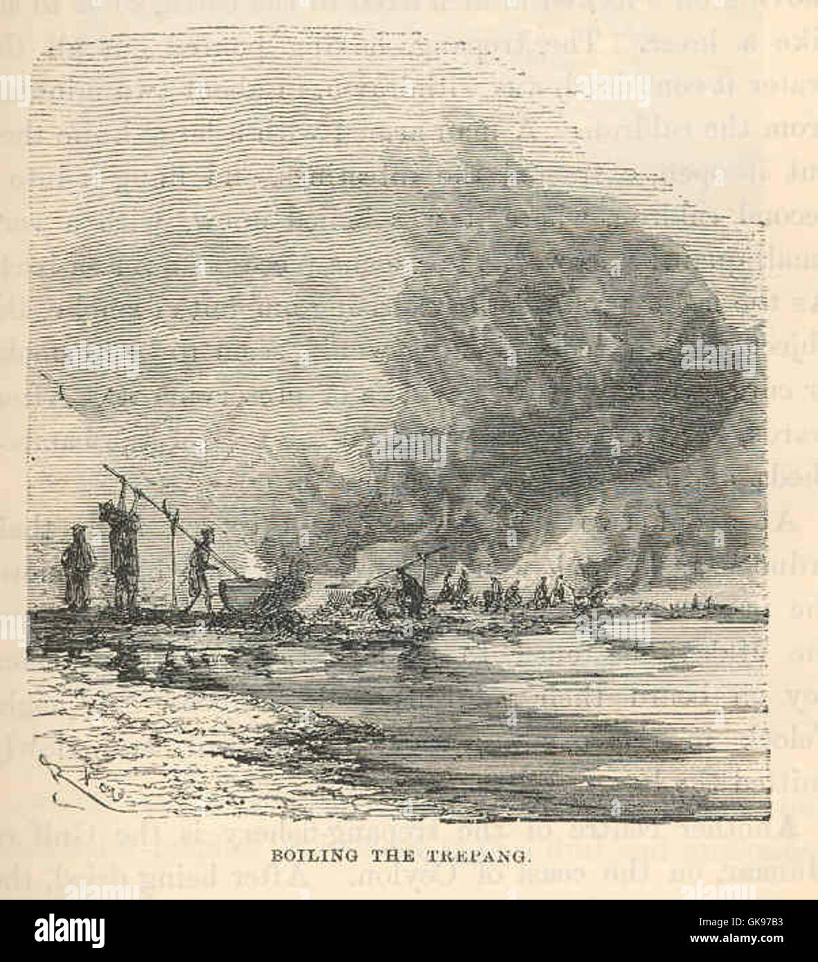 This work discusses the process of boiling trepang, also known as sea ...