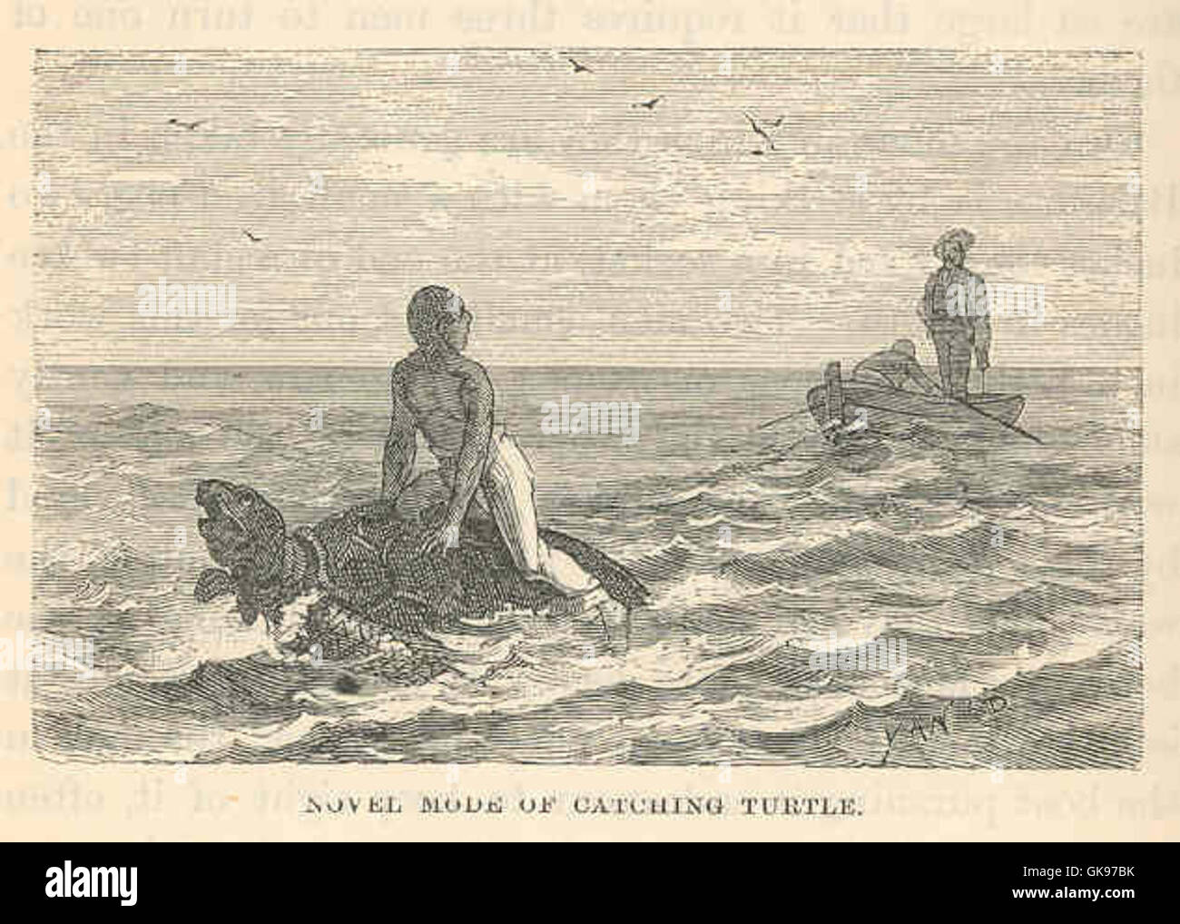 This article introduces a novel technique for catching turtles ...