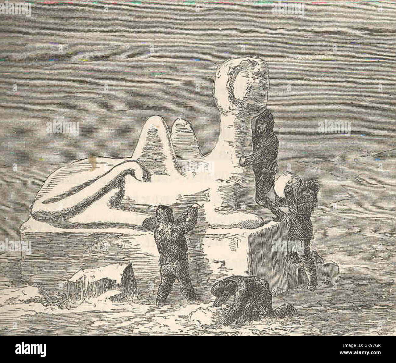 The Snow-Sphinx refers to a rare and mythical creature, often depicted ...