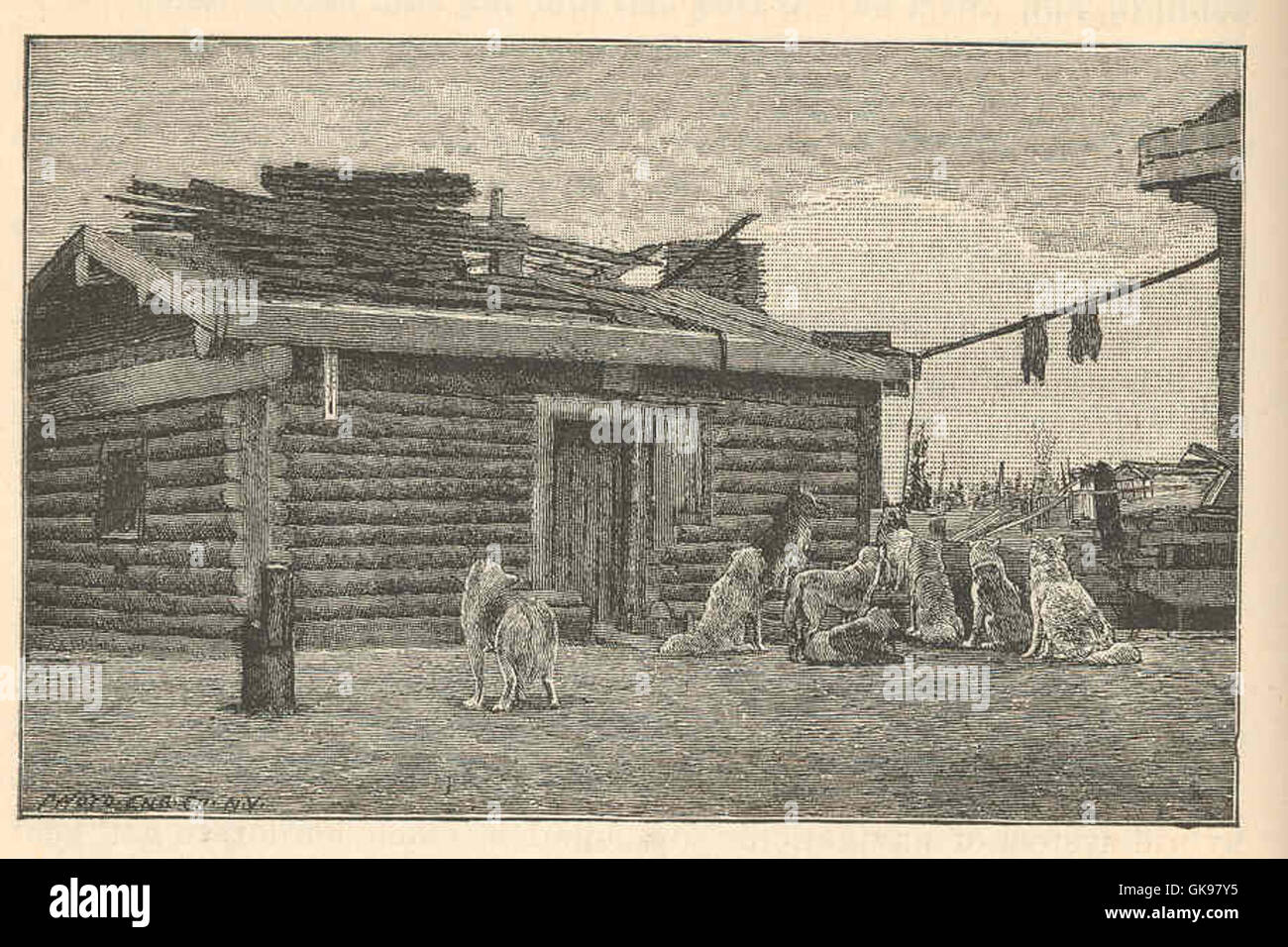 Illustration of Esquimaux dogs pulling sledges, highlighting their role ...
