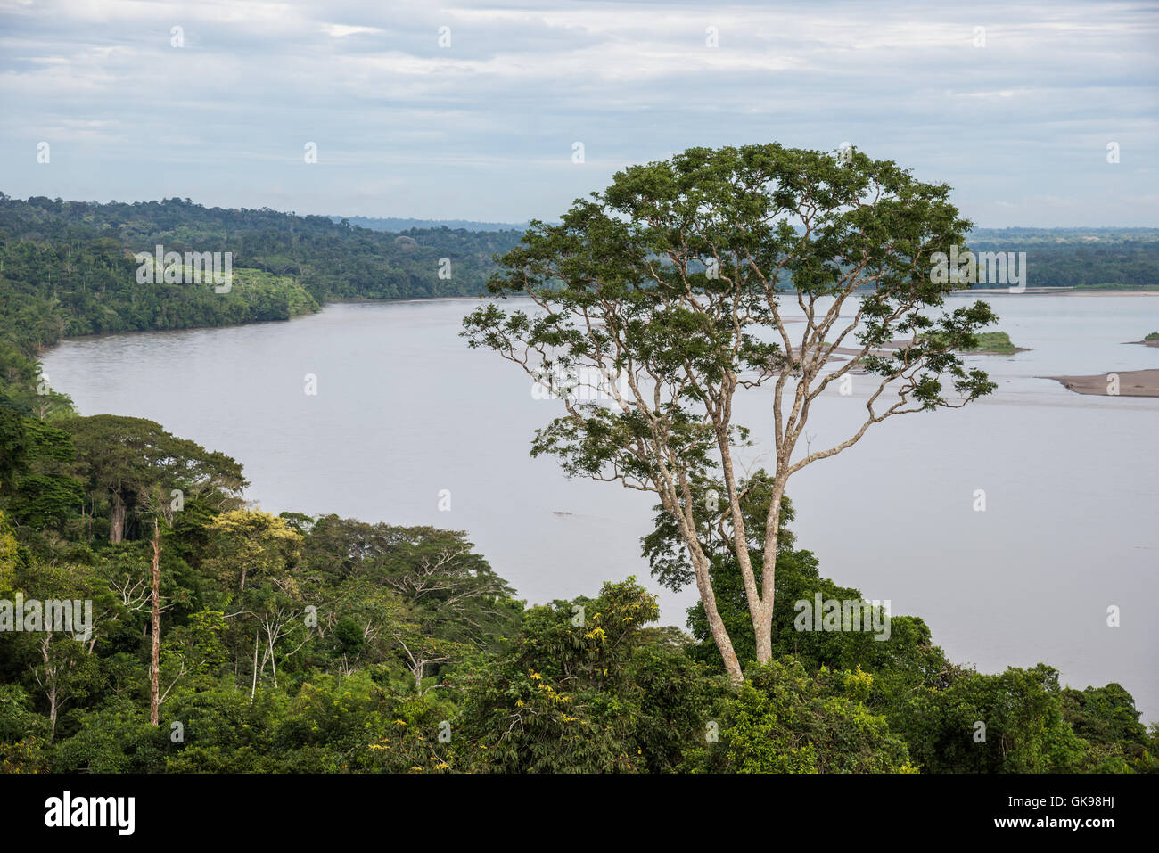 Napo river ecuador hi-res stock photography and images - Alamy