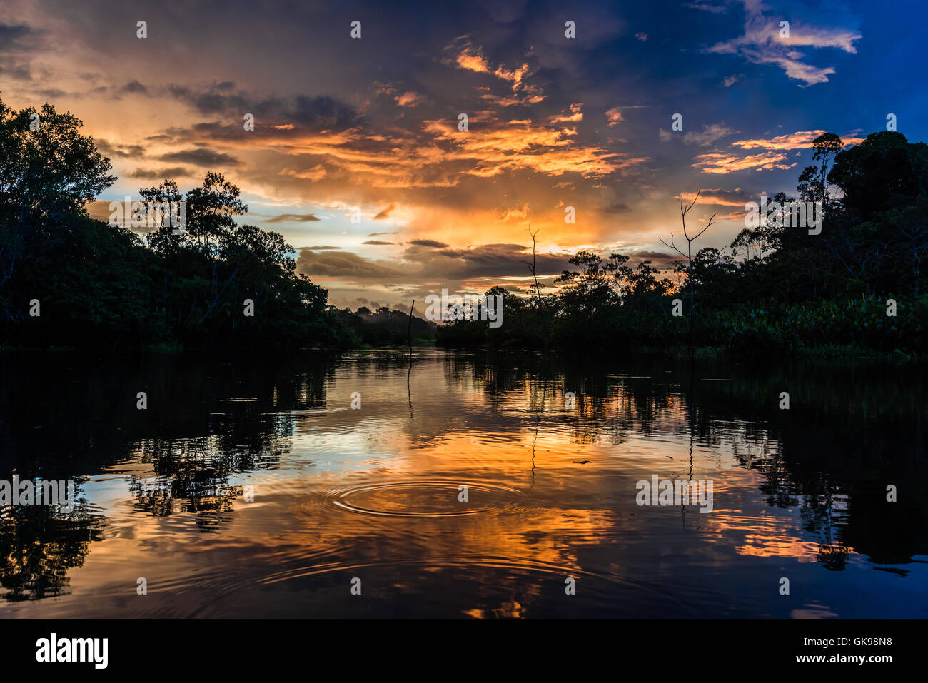 Colorful clouds at sunset in the Amazons. Yasuni National Park, Ecuador ...