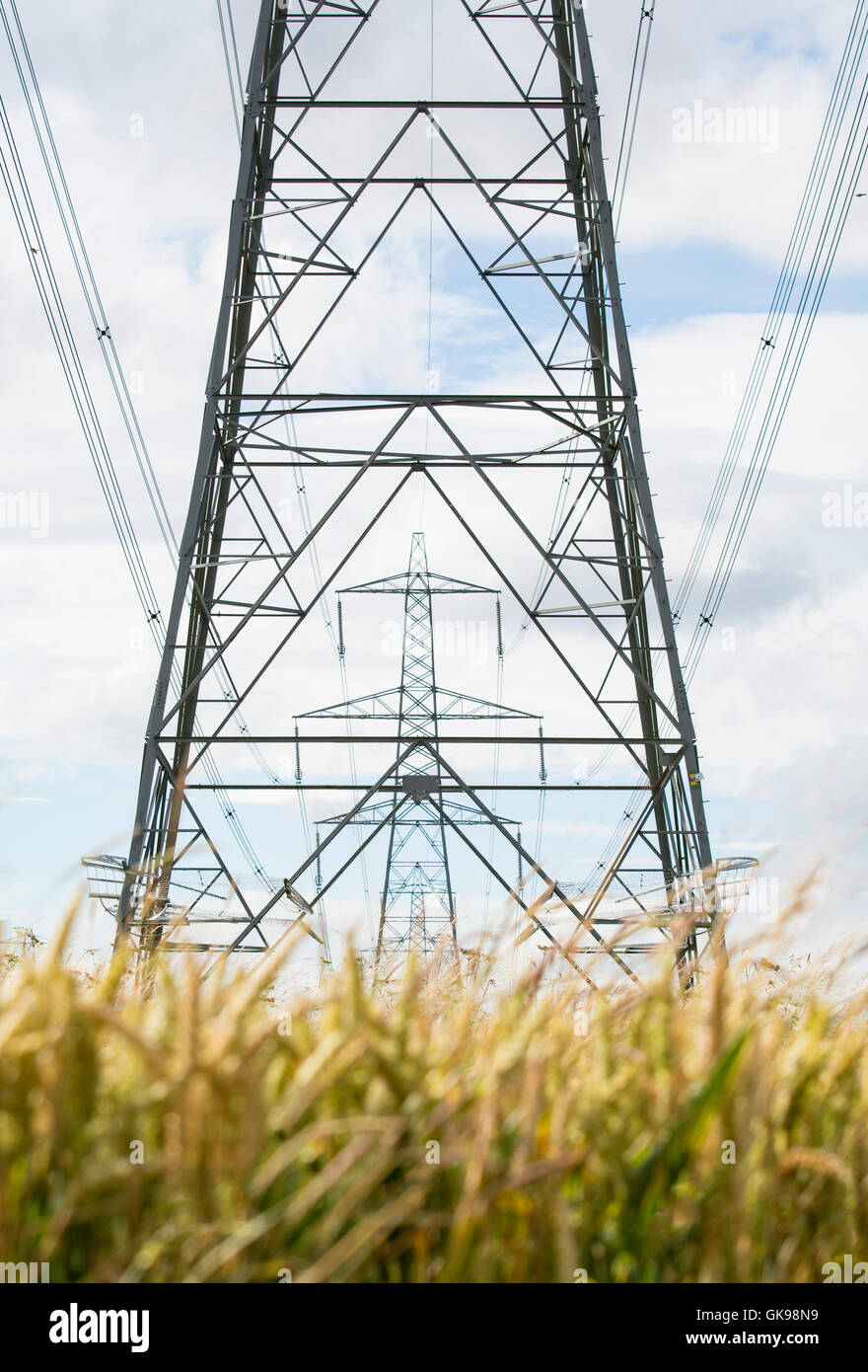 Electricity pylon power lines field hi-res stock photography and images ...
