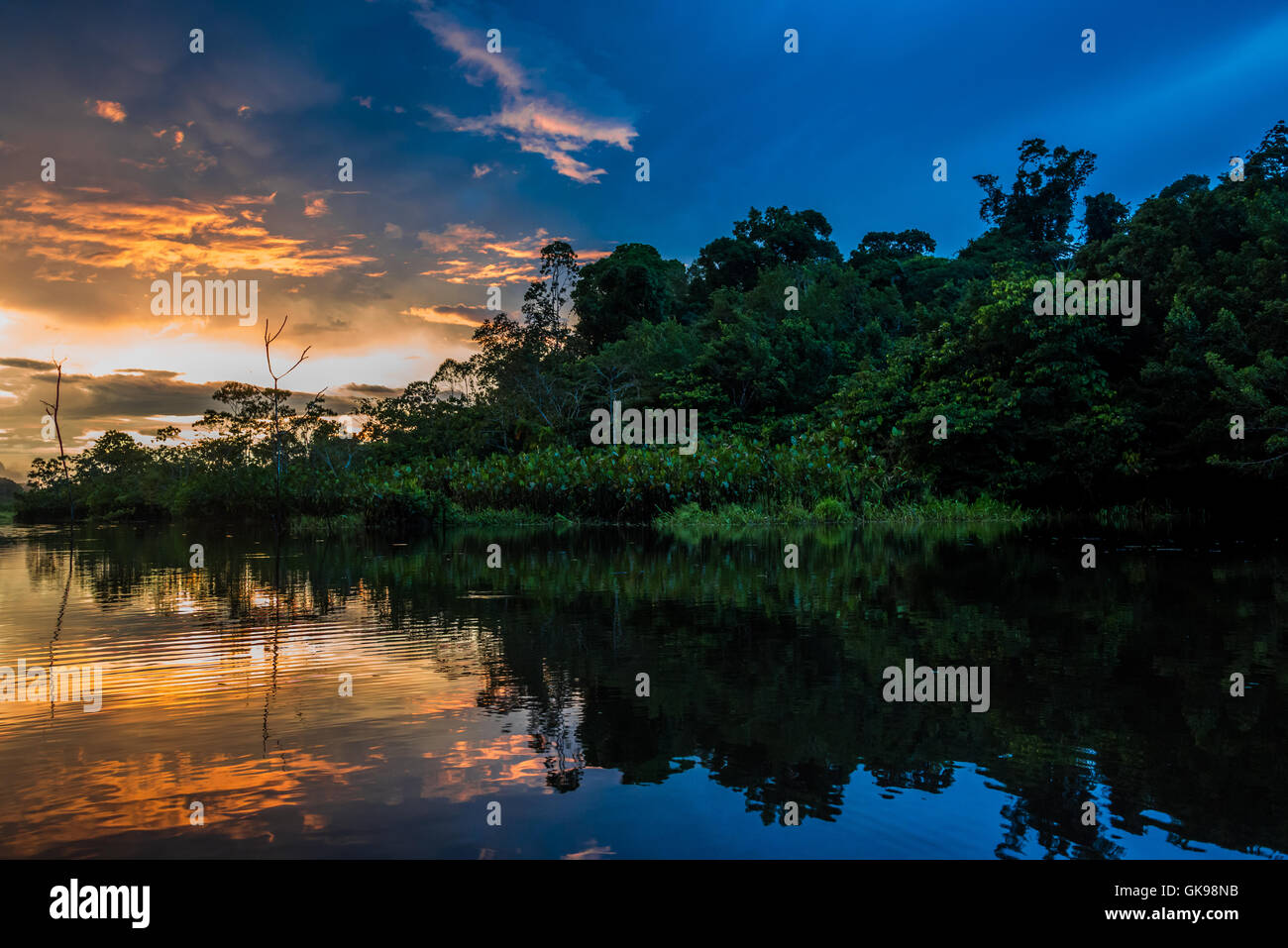 Colorful clouds at sunset in the Amazons. Yasuni National Park, Ecuador ...