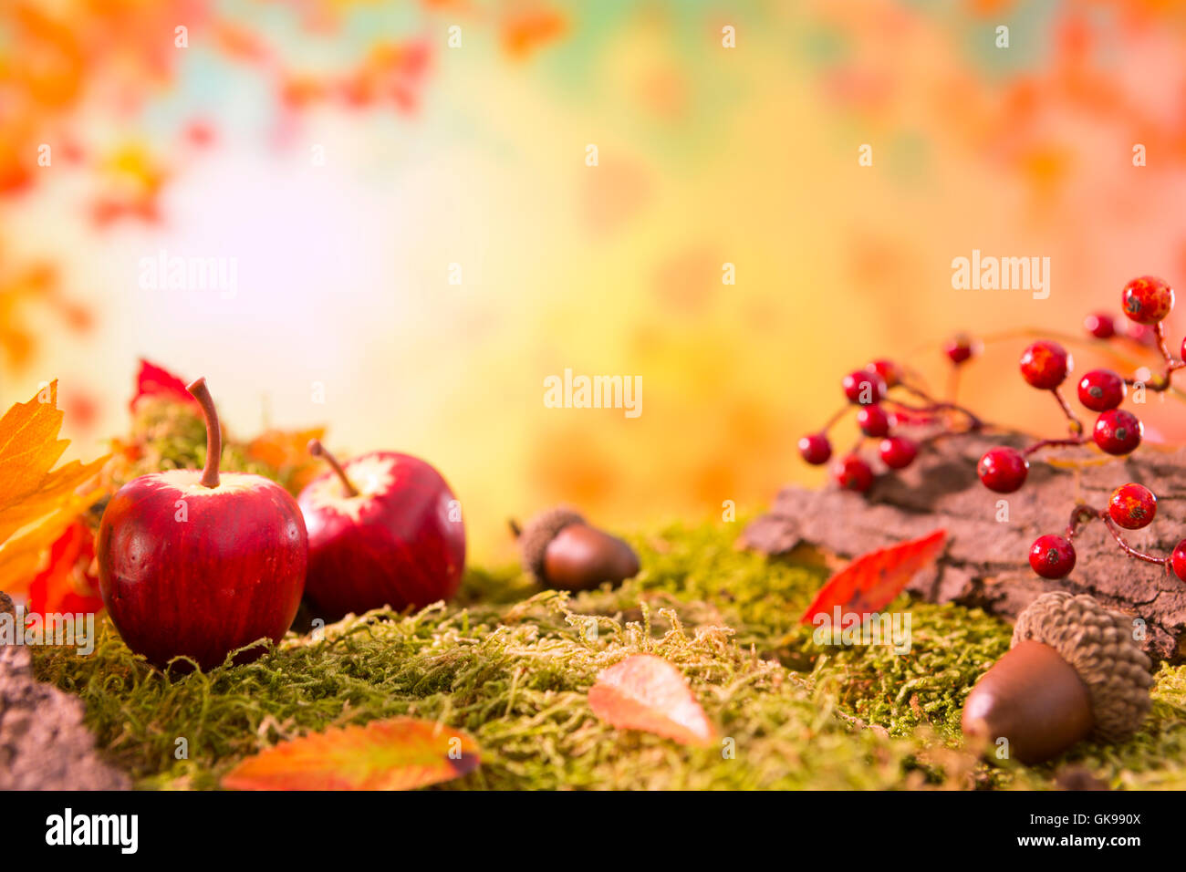 An autumn nature still life in bright light with copy space Stock Photo ...