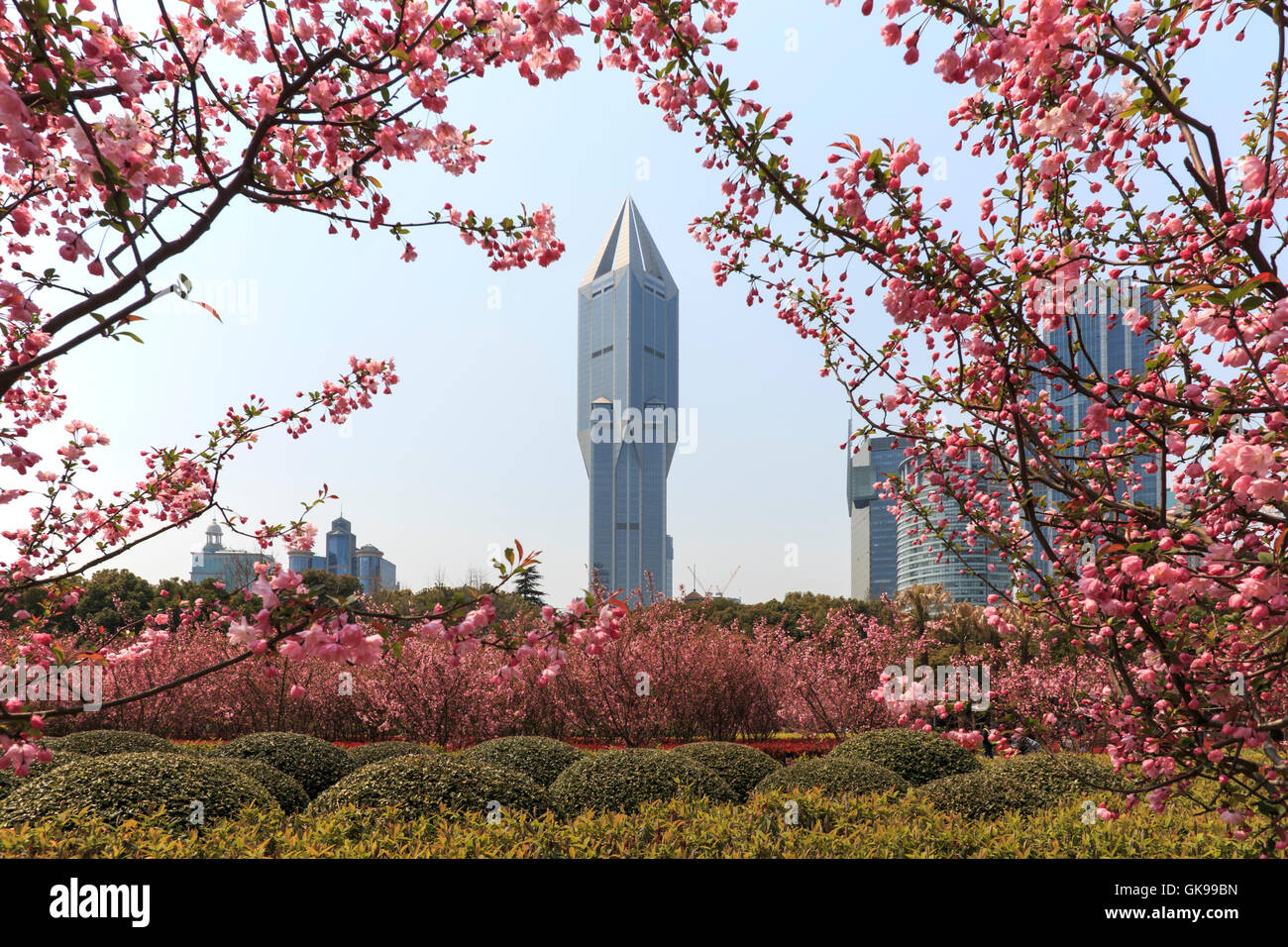 Shanghai wheelock square hi-res stock photography and images - Alamy