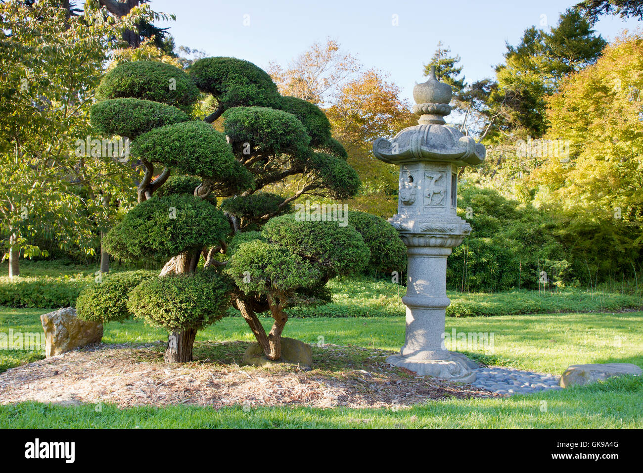 stone lantern juniper Stock Photo - Alamy