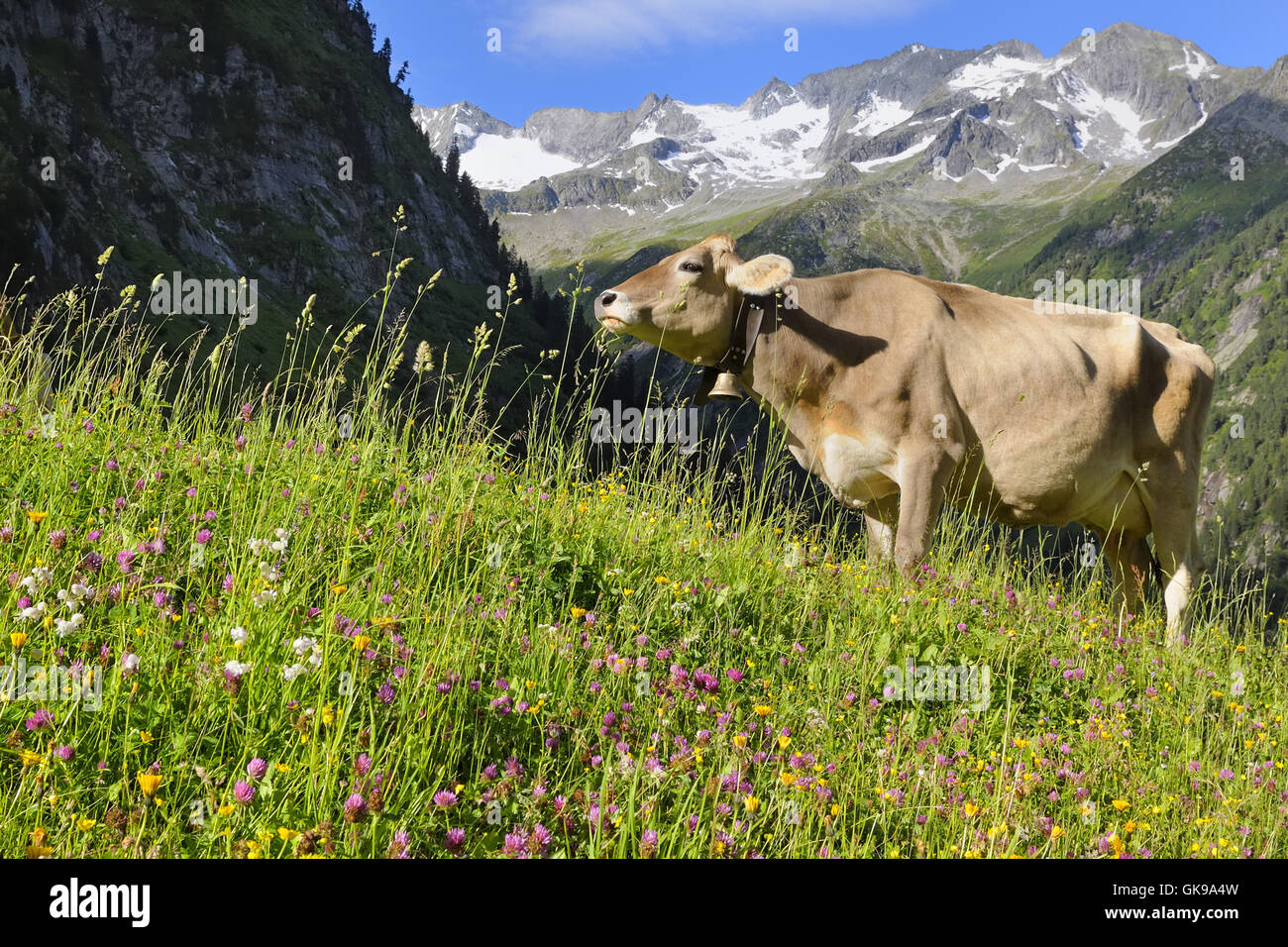 mountains agriculture farming Stock Photo - Alamy