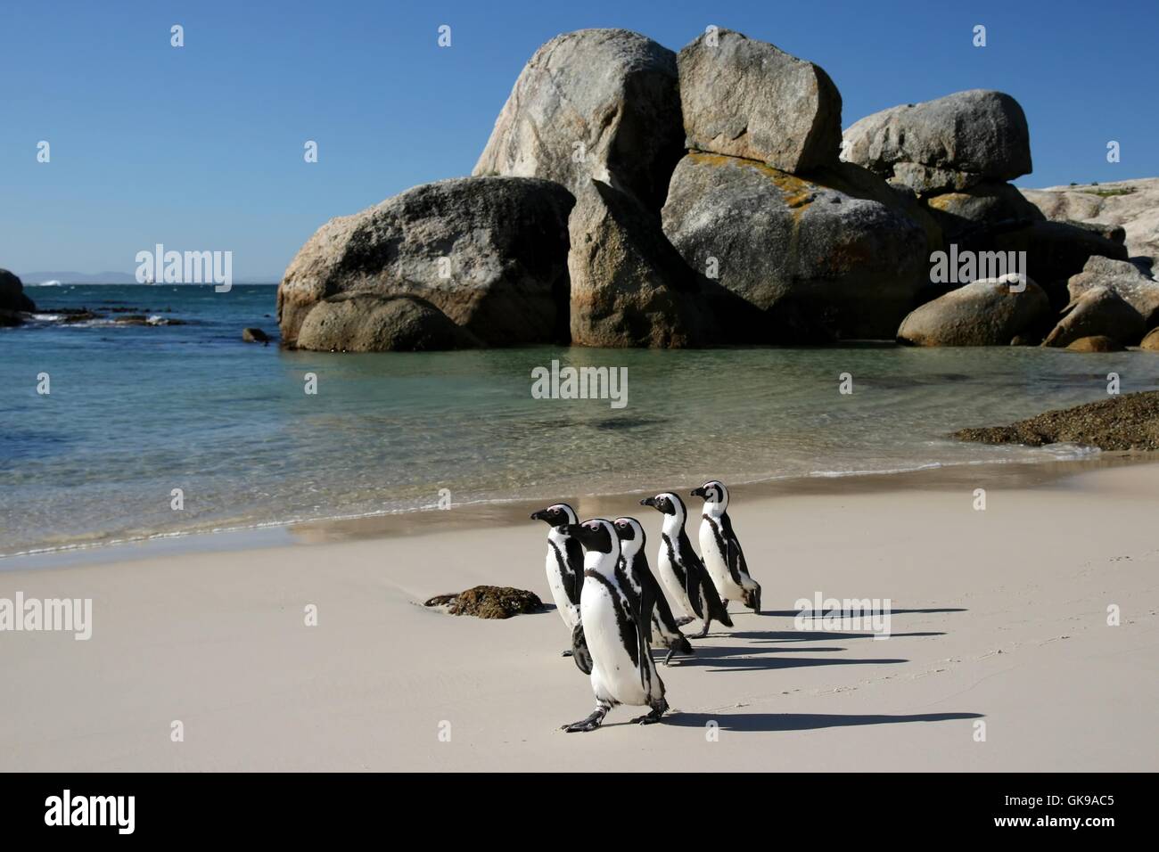 blue walk go Stock Photo - Alamy